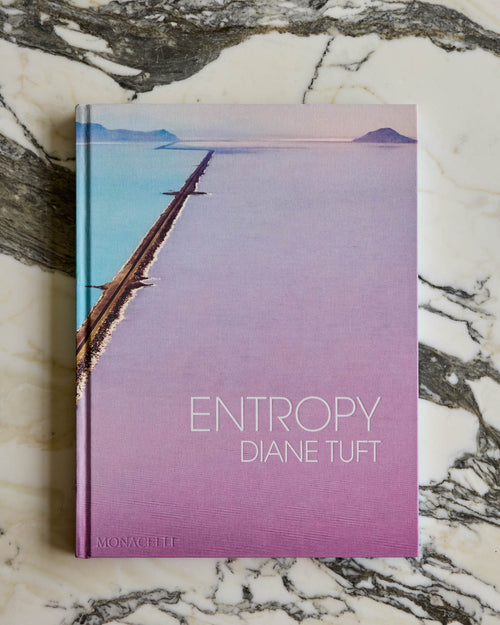 Entropy - Diane Tuft