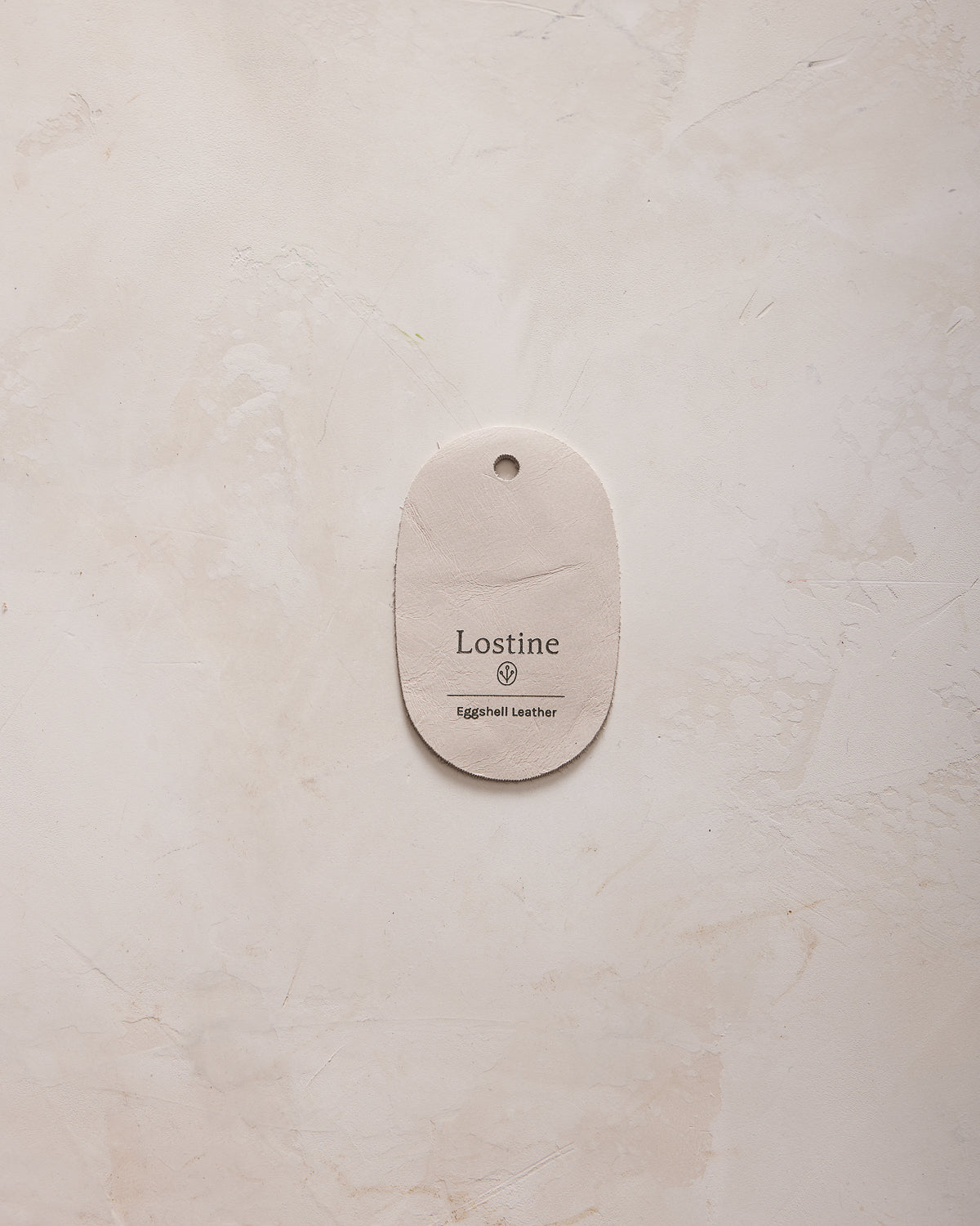 Eggshell Leather Sample